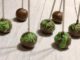 Irish Coffee Boozy Cake Pops - #NeverDoneWithFun